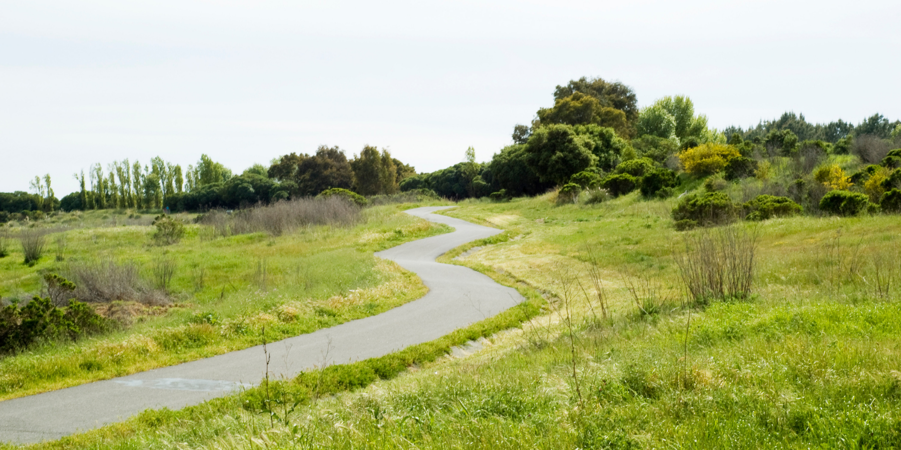 8 ICF Core Competencies [Infographic]